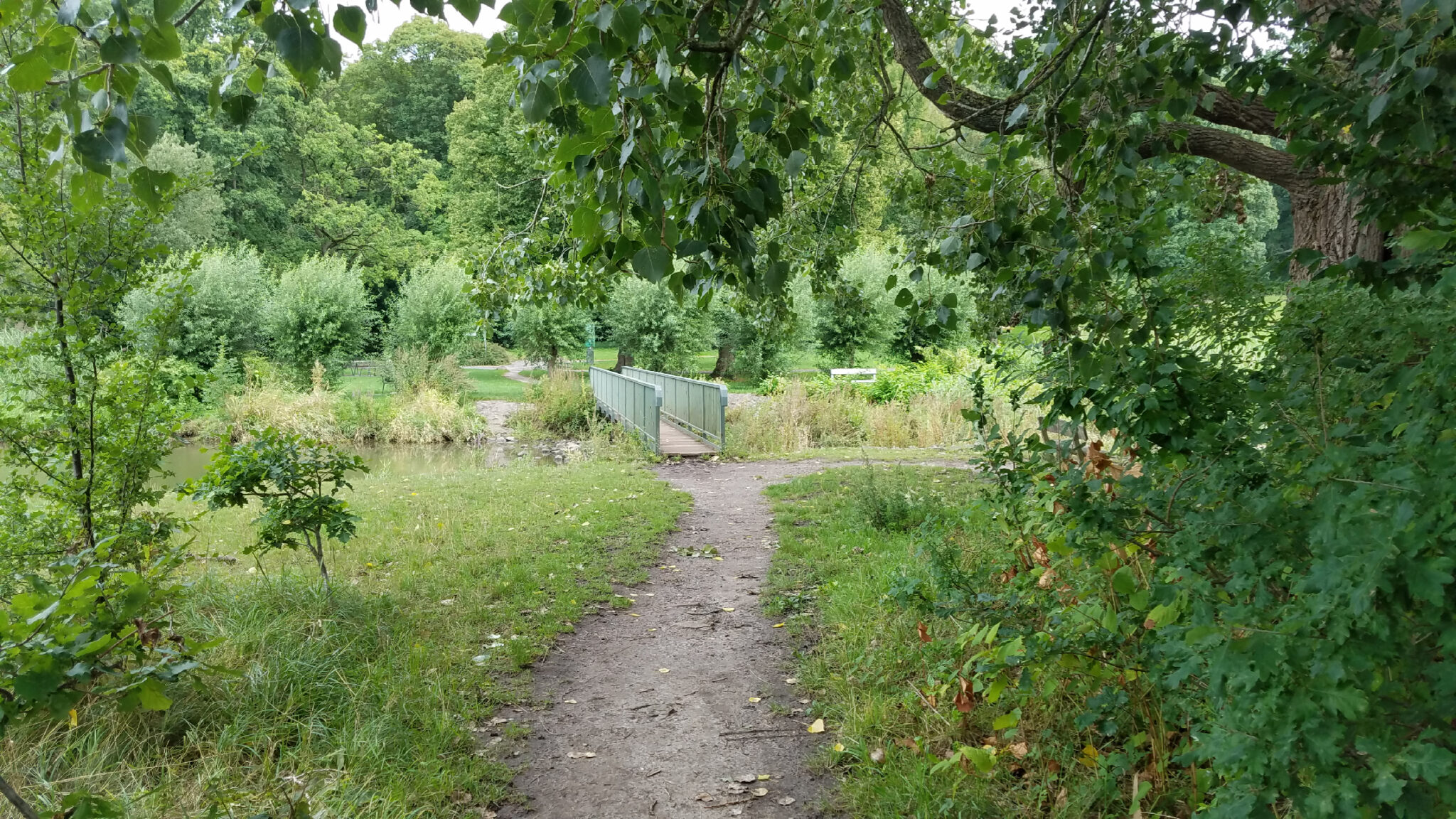 Stadtteilspaziergang: Das wunderschöne Grün von Lesum - SPOT Bremen