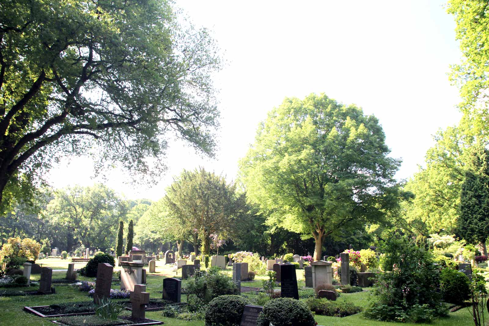 Außergewöhnliche Sehenswürdigkeiten: Riensberger Friedhof