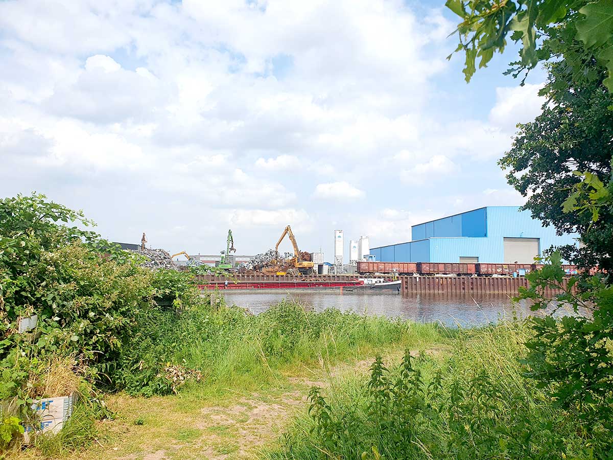 Stadtteilköpfe: Immo Wischhusen und sein Palettenparadies - SPOT Bremen