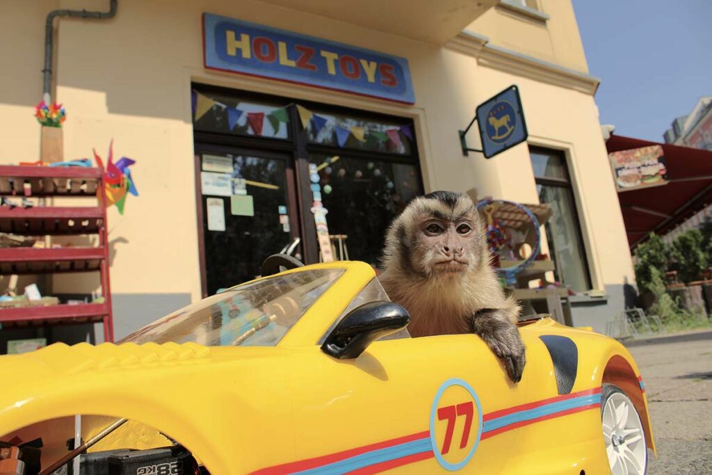 KIJUKO: Filmfestival für Kinder und Jugendliche - SPOT Bremen